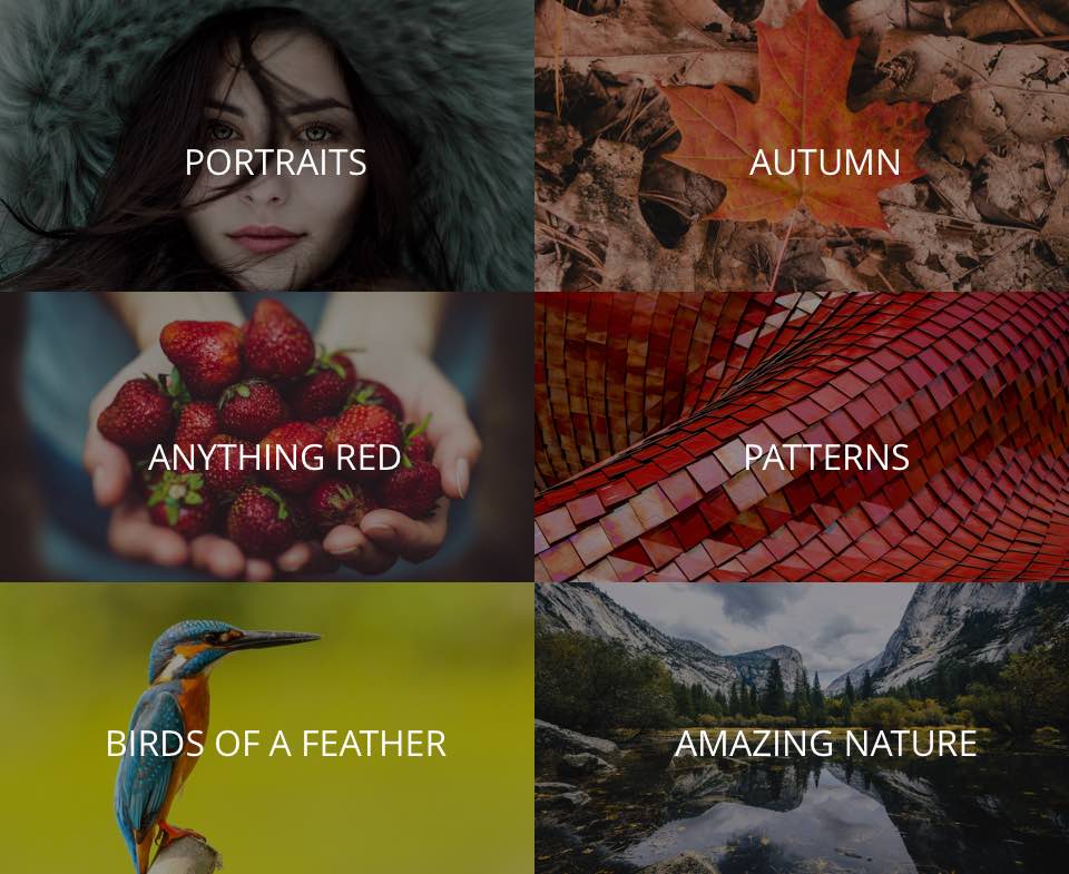 THE GAMING ASPECT OF OUR PHOTOGRAPHY CONTEST